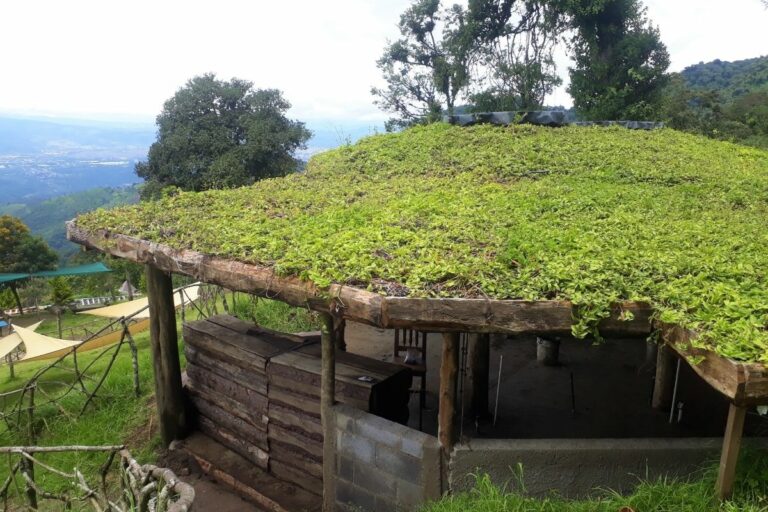 Toit végétalisé : Un guide simplifié pour tout comprendre - akadia.fr